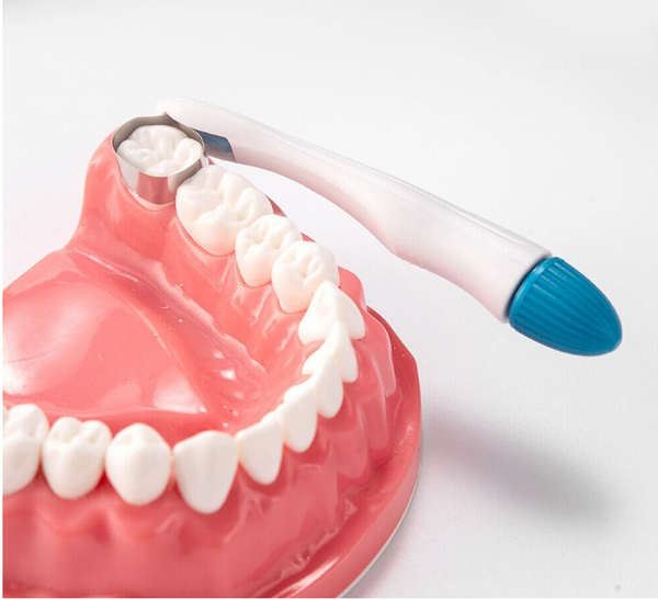 Dental Pro Matrix Bands